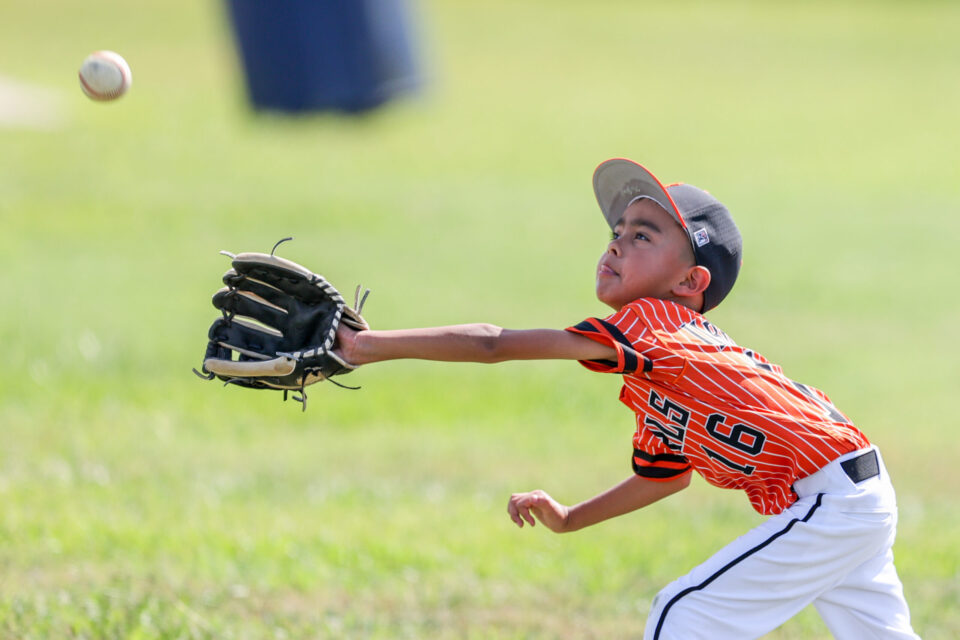 Baseball, Sports Houston Bengals 7U