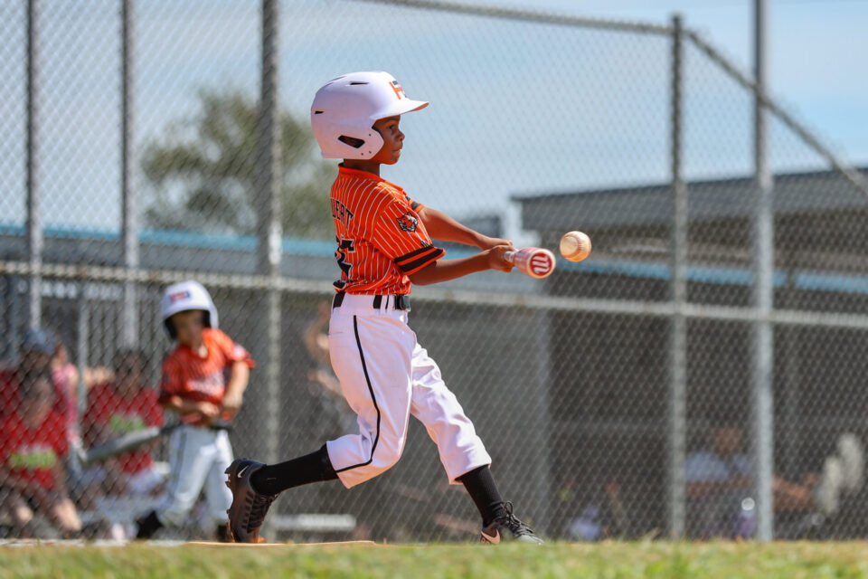 COPYRIGHT © JOHN STEELMAN PHOTOGRAPHY ALL RIGHTS RESERVED.